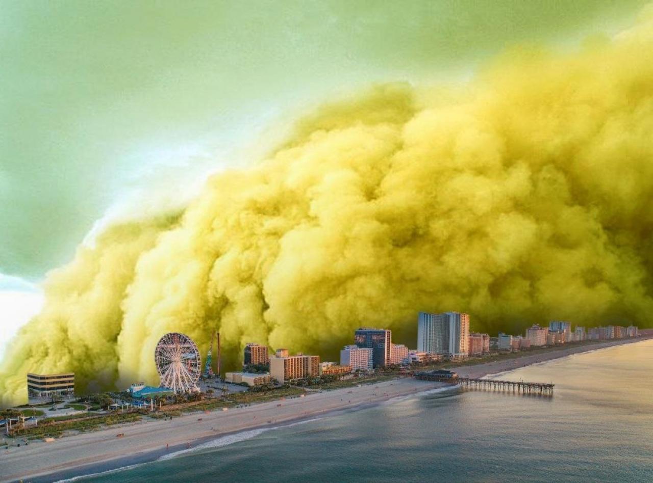 Meteo - Con la primavera torna l'incubo allergie da polline, guardate ...