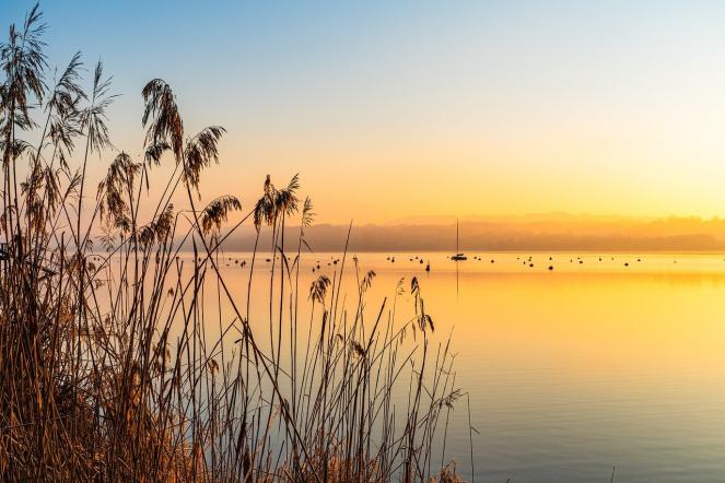 Meteo. El Niño in Europa: verità e falsi miti di un fenomeno globale ...