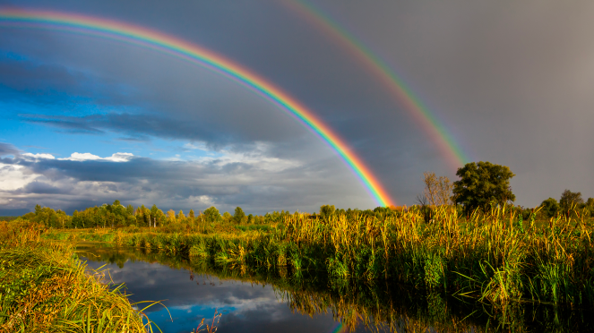 Meteo. Perché in primavera il tempo sembra cambiare umore: percezione o ...