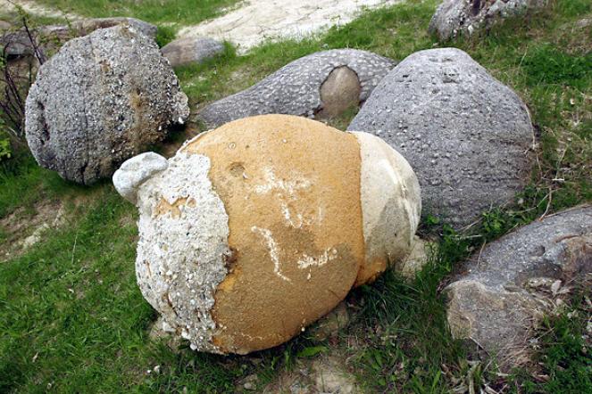 Scoperte in Romania delle pietre in grado di crescere e riprodursi « 3B ...