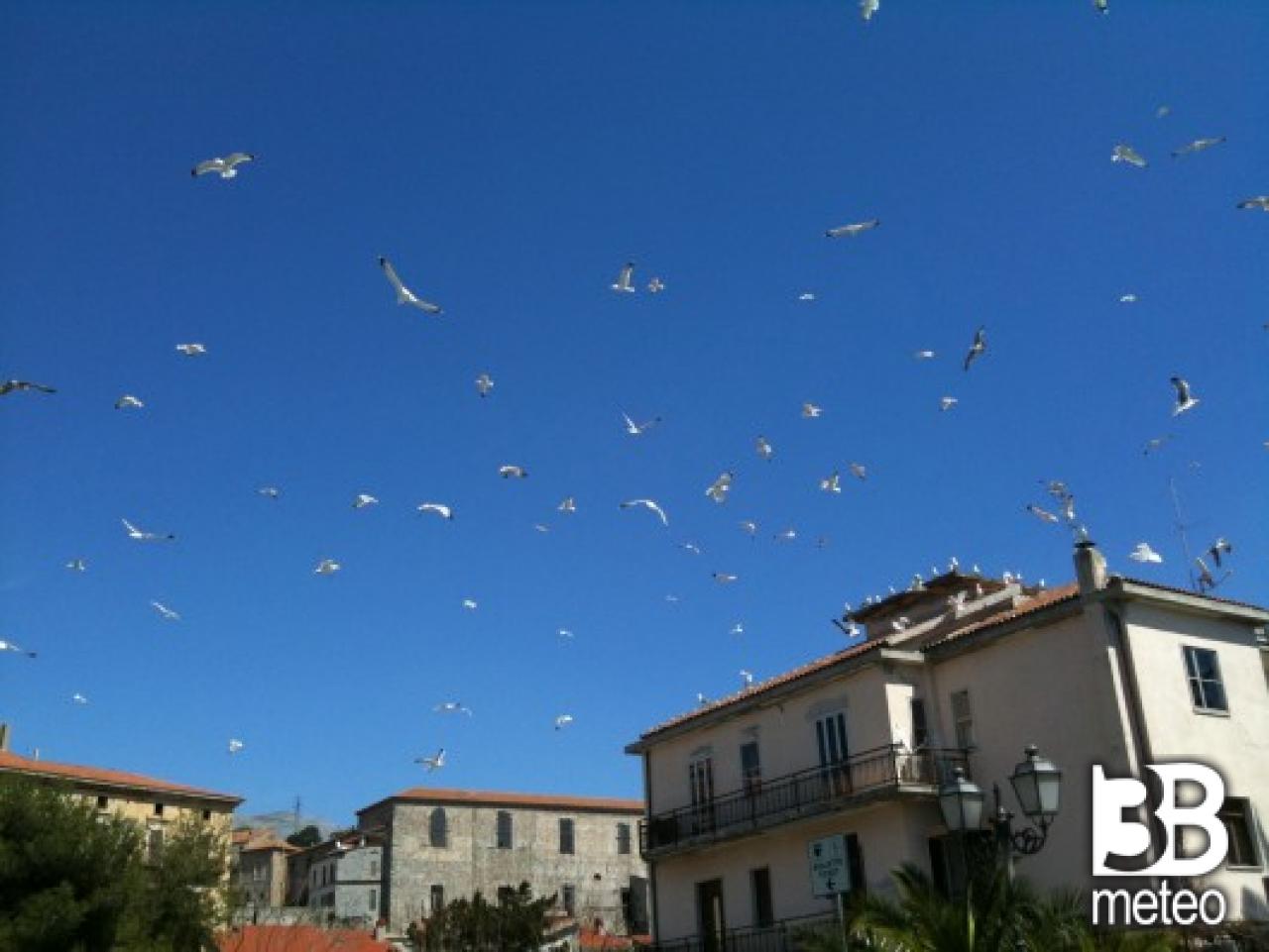 Foto Meteo: Scalea « 3B Meteo
