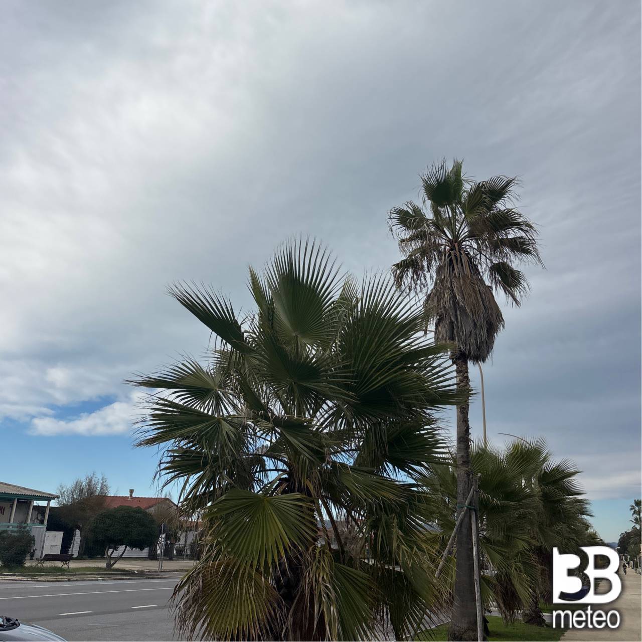 Foto Meteo: Non Ce' Il Sole Come Sembra « 3B Meteo