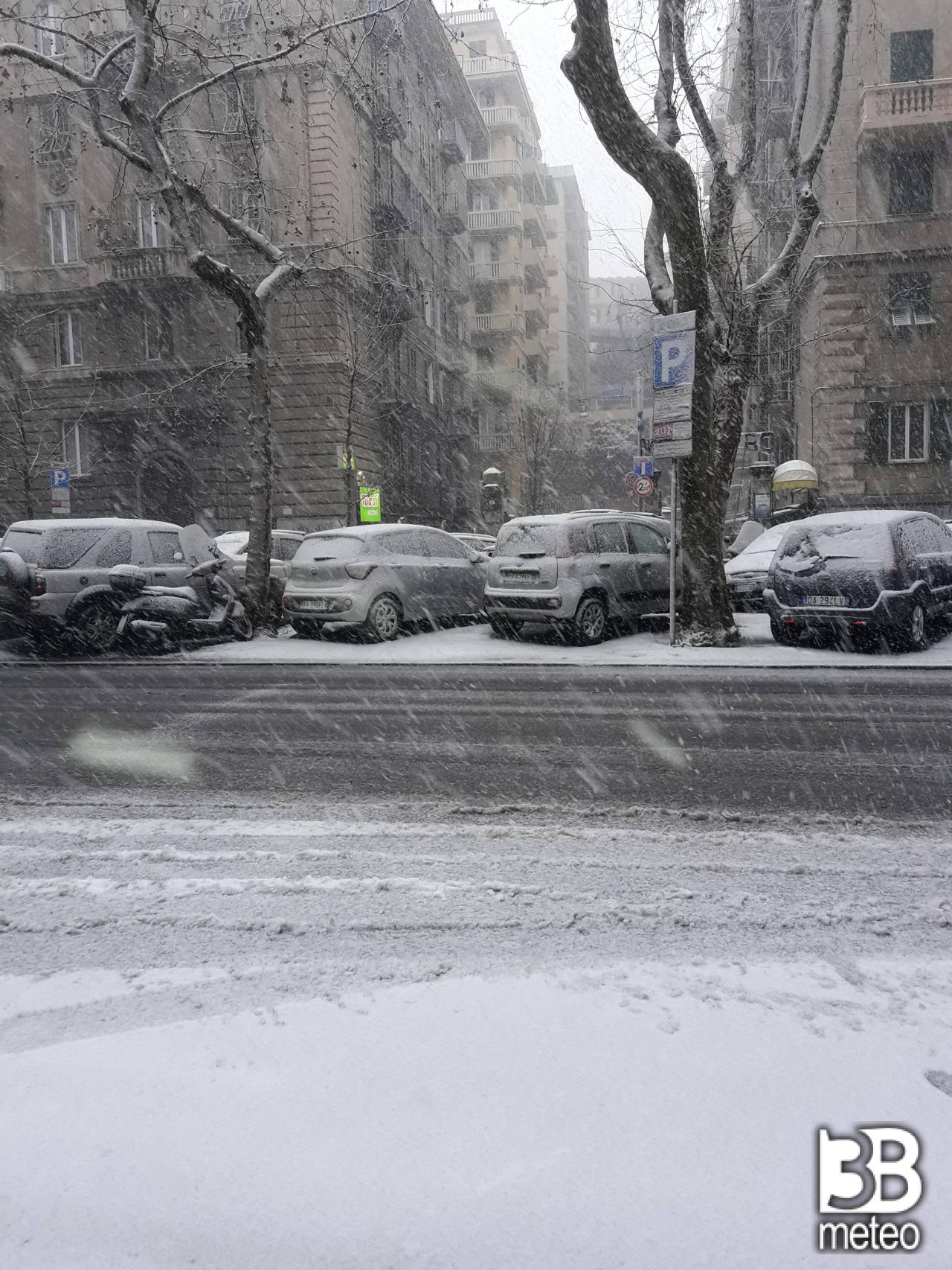 Foto Meteo: Genova Neve « 3B Meteo