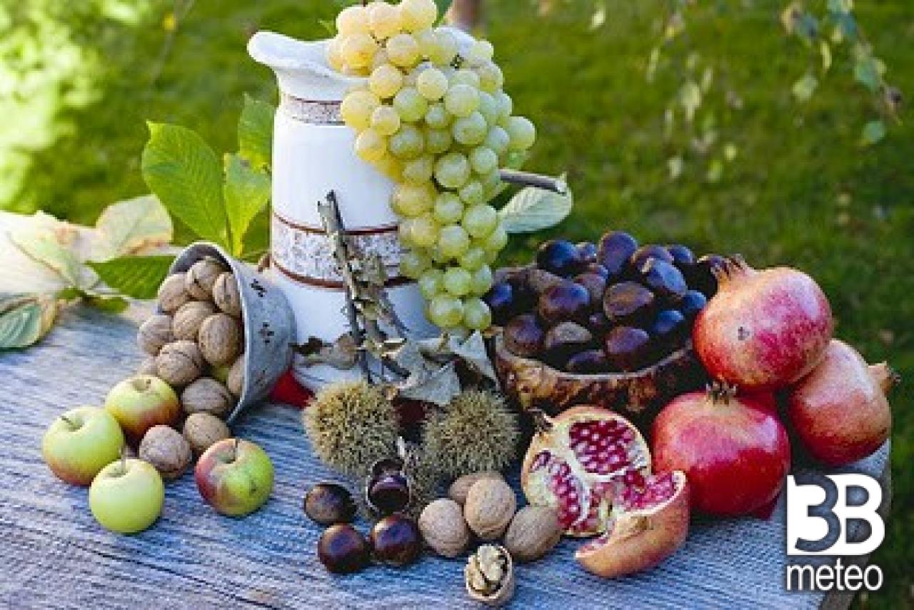 Foto Meteo: I Meravigliosi Frutti Autunnali. « 3B Meteo
