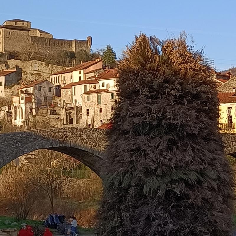 Foto Meteo: 31 Gennaio Falo' San Zumian « 3B Meteo