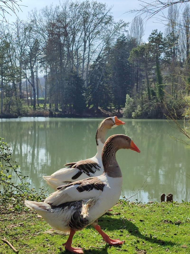Foto Meteo: Giornata Limpida « 3B Meteo